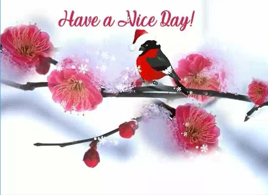 Hello! Miss You In This Cold Season. Free World Hello Day eCards | 123 ...