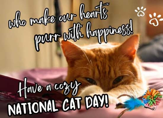 Cozy National Cat Day Wish! Free National Cat Day eCards, Greeting ...