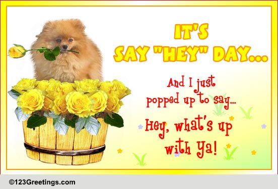 Hey, What's Up... Free Say 'Hey' Day eCards, Greeting Cards | 123 Greetings