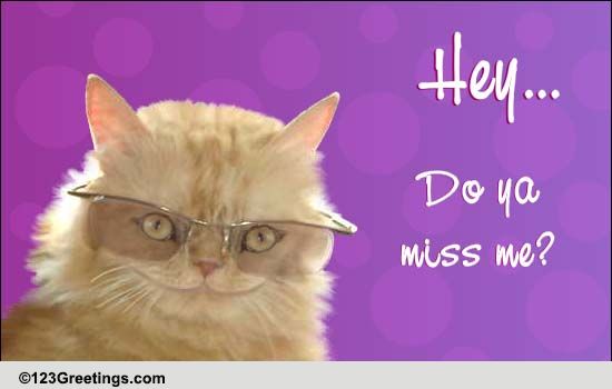 Miss Me? Free Say 'Hey' Day eCards, Greeting Cards | 123 Greetings