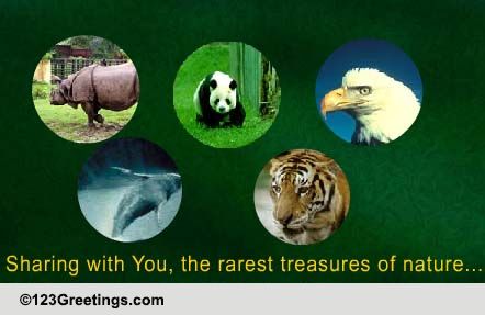 Rarest Treasures! Free World Animal Day eCards, Greeting Cards | 123 ...
