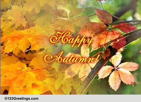 Autumn Means A Lot Of Warmth... Free Happy Autumn eCards, Greeting ...