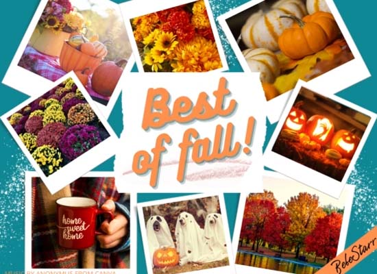 Best Of Fall. Free Happy Autumn eCards, Greeting Cards | 123 Greetings
