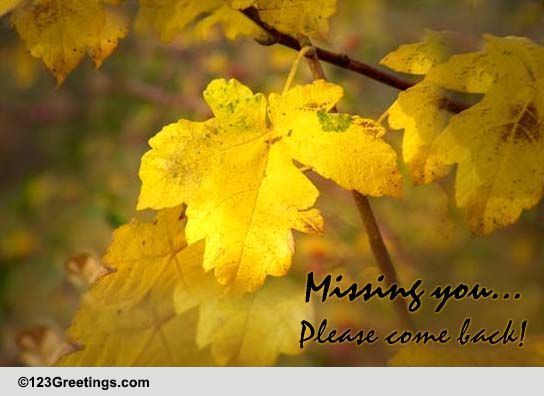 I Feel Your Absence... Come Back! Free Miss You eCards, Greeting Cards ...