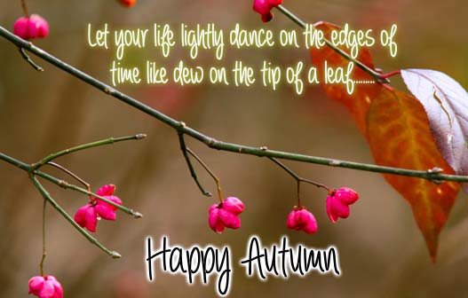 A Cute Autumn Wish... Free Specials eCards, Greeting Cards | 123 Greetings