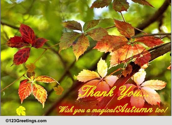 Thank You For Your Greetings. Free Thank You eCards, Greeting Cards ...