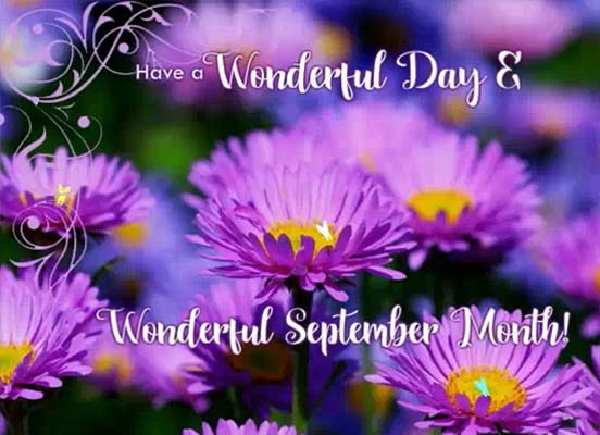 Beautiful September Flowers For You! Free September Flowers eCards ...