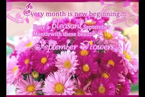 Pleasant September Month! Free September Flowers eCards, Greeting Cards ...