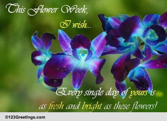 Flower Week Cards, Free Flower Week Wishes, Greeting Cards | 123 Greetings