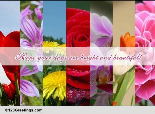 Pretty Blooms! Free Flower Week eCards, Greeting Cards | 123 Greetings