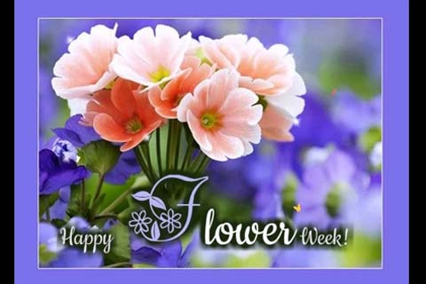 Flower Week Cards, Free Flower Week Wishes, Greeting Cards | 123 Greetings