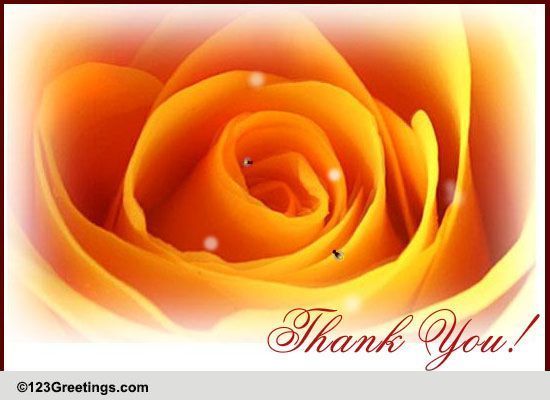 Thanks! Free Thank You eCards, Greeting Cards | 123 Greetings