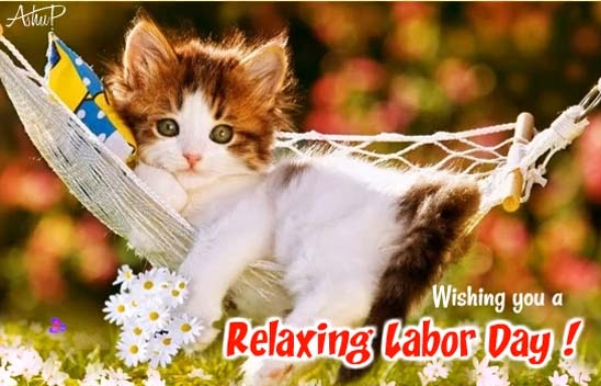 Cute Kitty Thanks On Labor Day! Free Thank You eCards, Greeting Cards ...