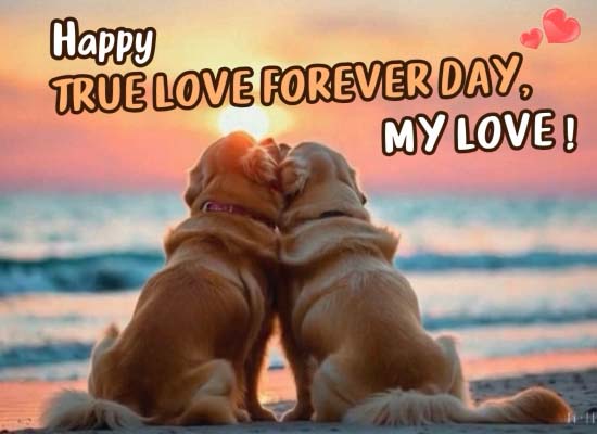 Send A Warm Hug To Your Sweetheart. Free True Love Forever Day eCards ...