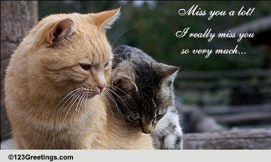 Miss You A Lot. Free Loved Ones eCards, Greeting Cards | 123 Greetings