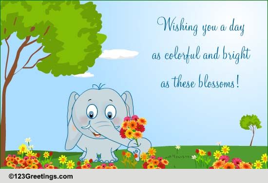 Colorful And Bright! Free Floral Wishes eCards, Greeting Cards | 123 ...