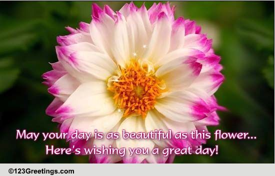 Wishing You A Great Day! Free Floral Wishes eCards, Greeting Cards ...