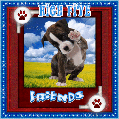 High Five Funny Images