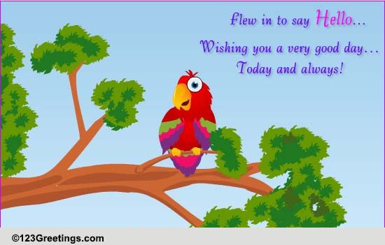 Flew In To Say Hello... Free Hello eCards, Greeting Cards | 123 Greetings