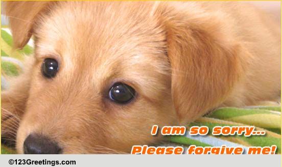 I Am So Sorry... Free Sorry eCards, Greeting Cards | 123 Greetings