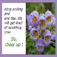 Everyday Cheer Up Cards, Free Everyday Cheer Up Wishes, Greeting Cards ...