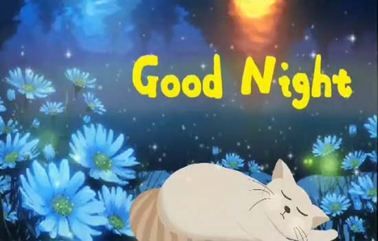Night Is The Nice Gift Free Good Night eCards, Greeting Cards | 123 ...