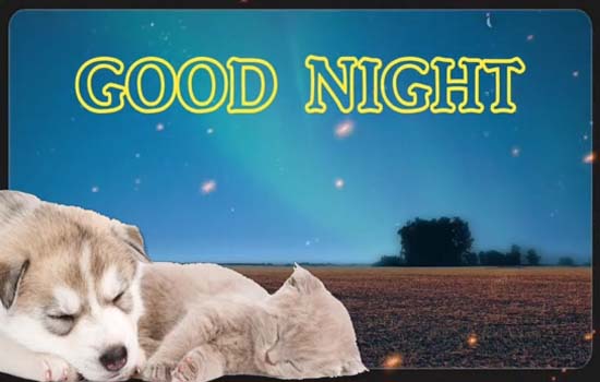 May Your Night Be Full Of Peace. Free Good Night eCards, Greeting Cards ...