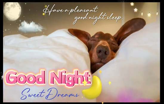 Everyday Good Night Cards, Free Everyday Good Night Wishes | 123 Greetings