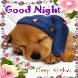 Everyday Good Night Cards, Free Everyday Good Night Wishes | 123 Greetings