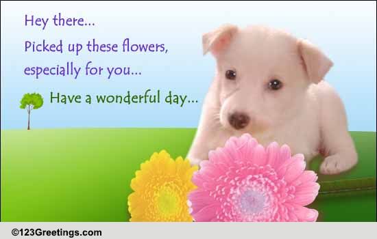 Have A Wonderful Day... Free Hi eCards, Greeting Cards | 123 Greetings