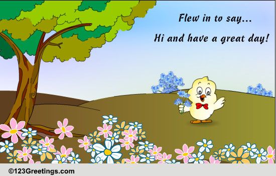 Everyday Hi Cards, Free Everyday Hi Wishes, Greeting Cards | 123 Greetings