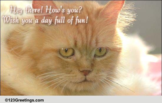 A Day Full Of Fun! Free Hi eCards, Greeting Cards | 123 Greetings
