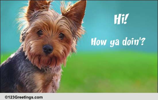 How Ya Doing? Free Hi eCards, Greeting Cards | 123 Greetings