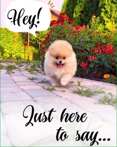Miss You ! Free Miss You eCards, Greeting Cards | 123 Greetings