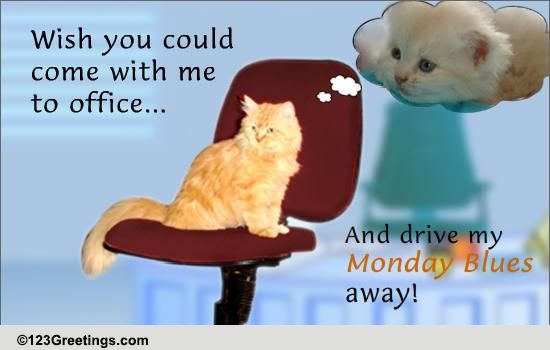 My Mondays Can Be Better... Free Monday Blues eCards, Greeting Cards ...