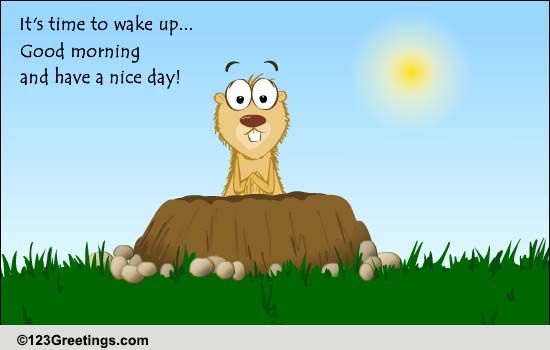 Time To Wake Up! Free Good Morning eCards, Greeting Cards | 123 Greetings