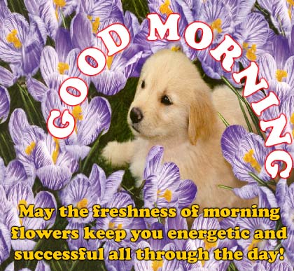 Morning Flowers Keep You Fresh! Free Good Morning eCards, Greeting ...