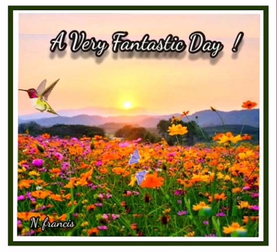 Everyday Good Morning Cards, Free Everyday Good Morning Wishes | 123 ...