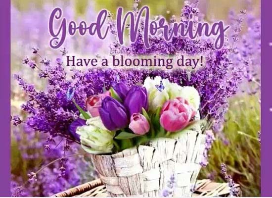 Everyday Good Morning Cards, Free Everyday Good Morning Wishes | 123 ...