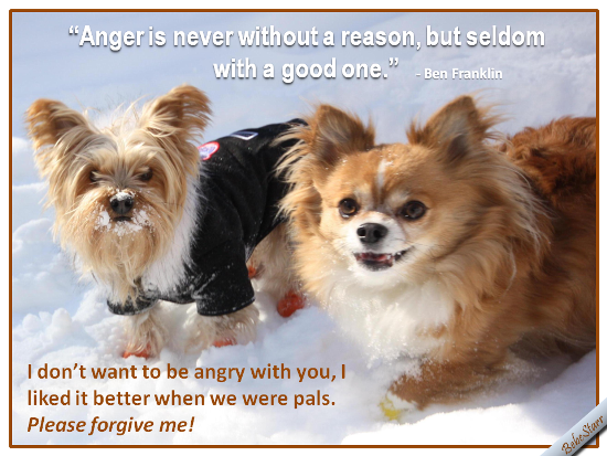 Old Pals Quotes
