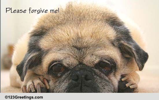 Sorry For Hurting Your Feelings! Free Sorry eCards, Greeting Cards ...