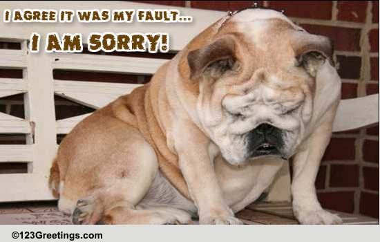 Sorry, My Fault! Free Sorry eCards, Greeting Cards | 123 Greetings