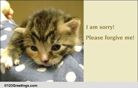 A Heartfelt Apology! Free Sorry eCards, Greeting Cards | 123 Greetings