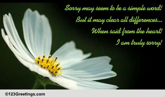 I Am Truly Sorry! Free Sorry eCards, Greeting Cards | 123 Greetings