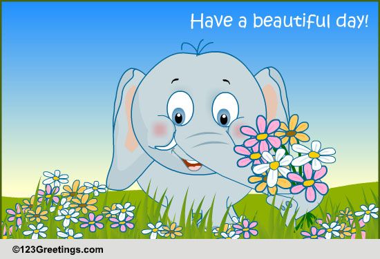 Wish A Beautiful Day! Free Thinking of You eCards, Greeting Cards | 123 ...