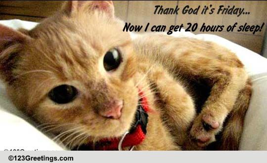 Sleepy Weekend! Free Enjoy the Weekend eCards, Greeting Cards | 123 ...