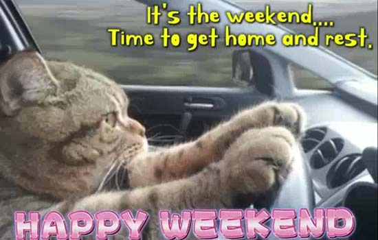 Its The Weekend Ecard