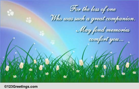 Rainbow Bridge! Free Sympathy & Condolences eCards, Greeting Cards ...