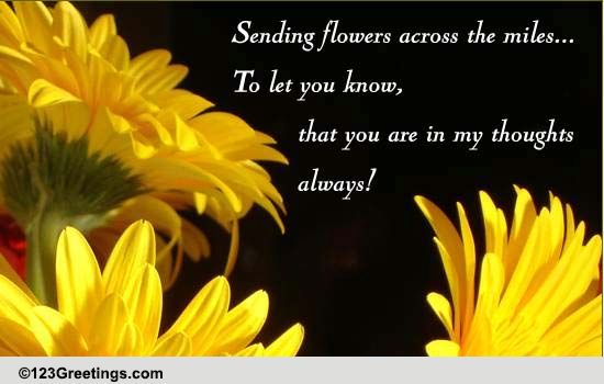 You're In My Thoughts... Free Across the Miles eCards, Greeting Cards ...