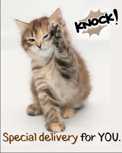 Love Reaches Miles - Ecard. Free Across the Miles eCards, Greeting ...